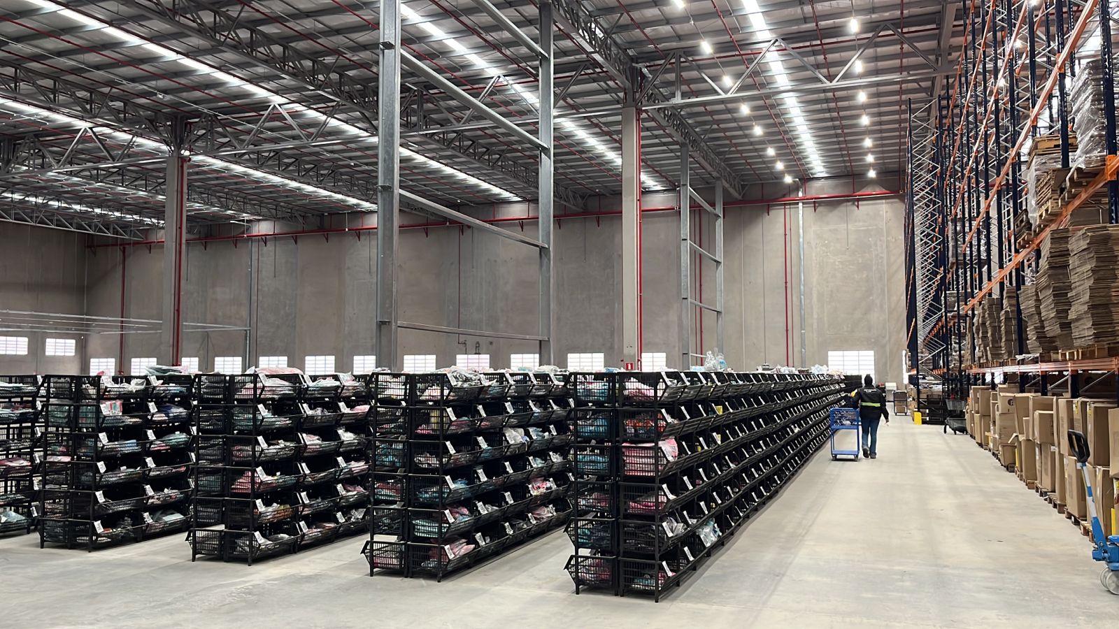 Platinum Log espera mais de 230 mil pedidos na Black Friday - Frota&Cia